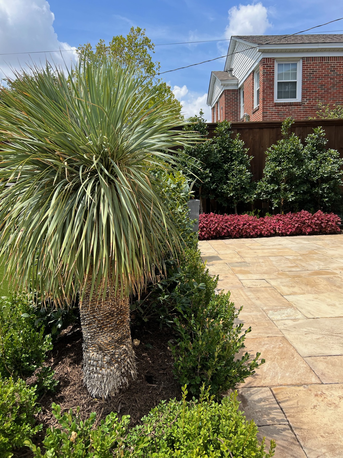Complete Landscape and Colors in Dallas, TX | Landscaping