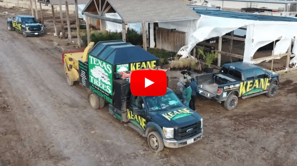 Keane Landscaping | Dallas Landscape Design | Dallas Landscapes