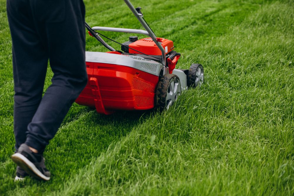Lawn Aeration in Dallas–Fort Worth | Professional Core Aeration | Keane ...